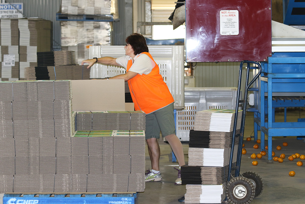 Margram Farms packing shed photo gallery | Margram Citrus