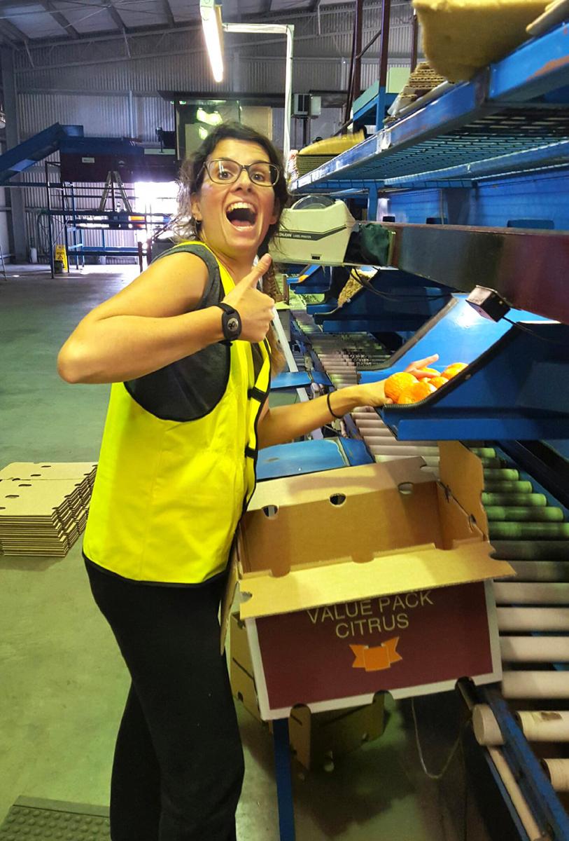 Margram Farms packing shed photo gallery | Margram Citrus