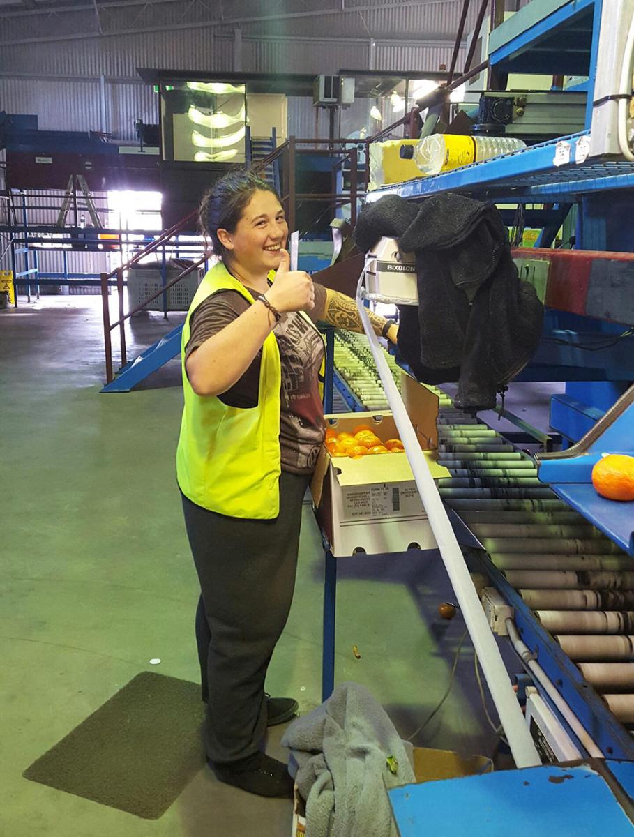 Margram Farms packing shed photo gallery | Margram Citrus