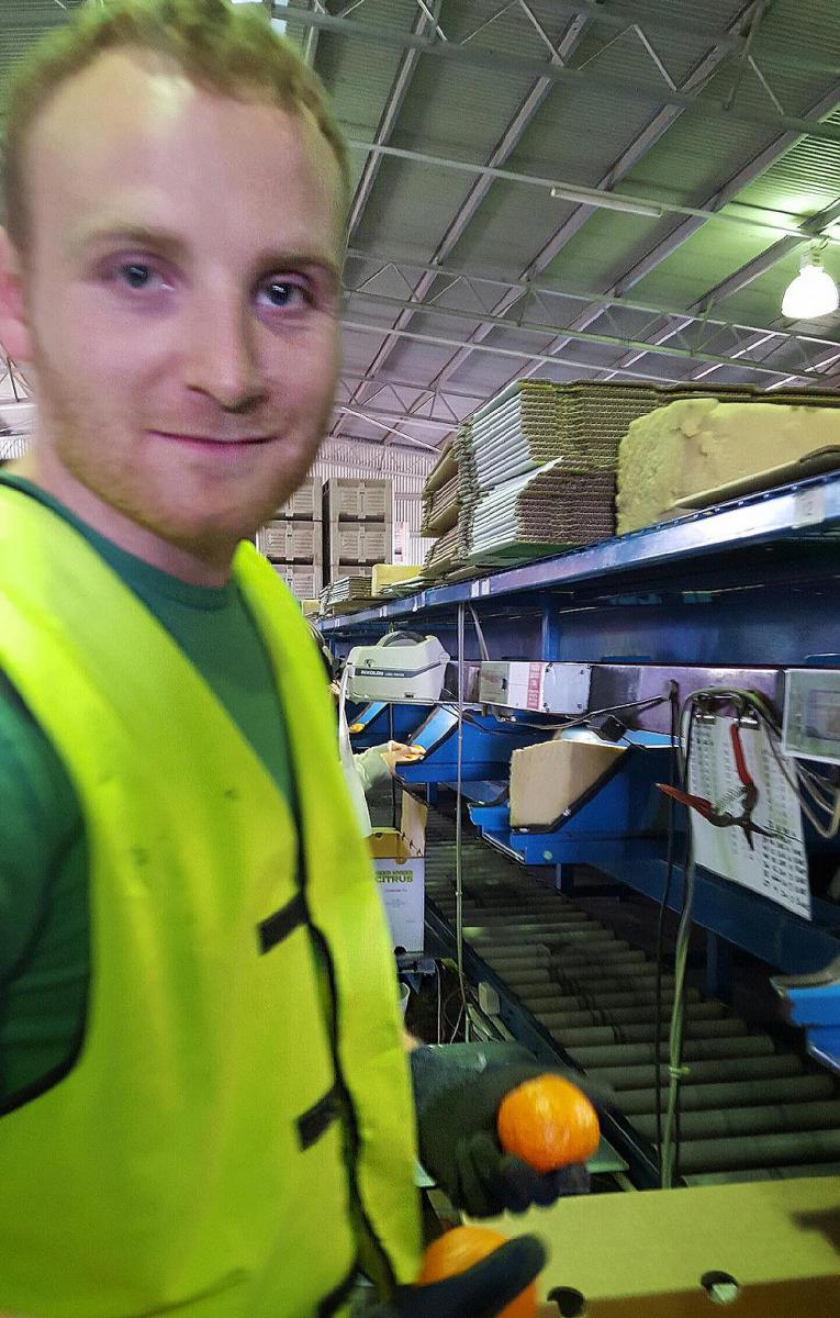 Margram Farms packing shed photo gallery | Margram Citrus