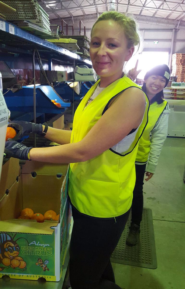 Margram Farms packing shed photo gallery | Margram Citrus